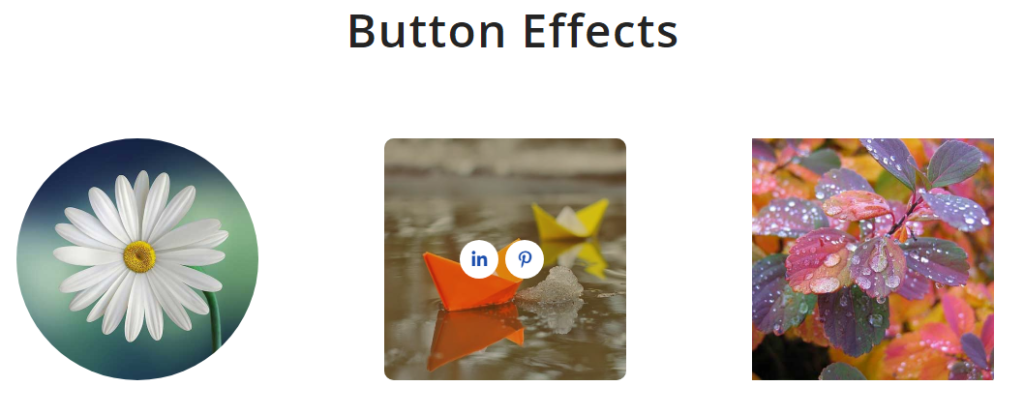 Button Effects | Image Hover Ultimate